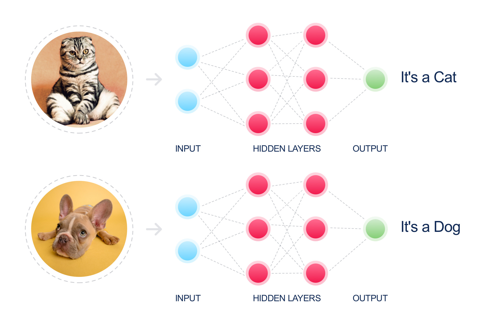 What Is Image Recognition Its Working Principles And Uses NIX United 