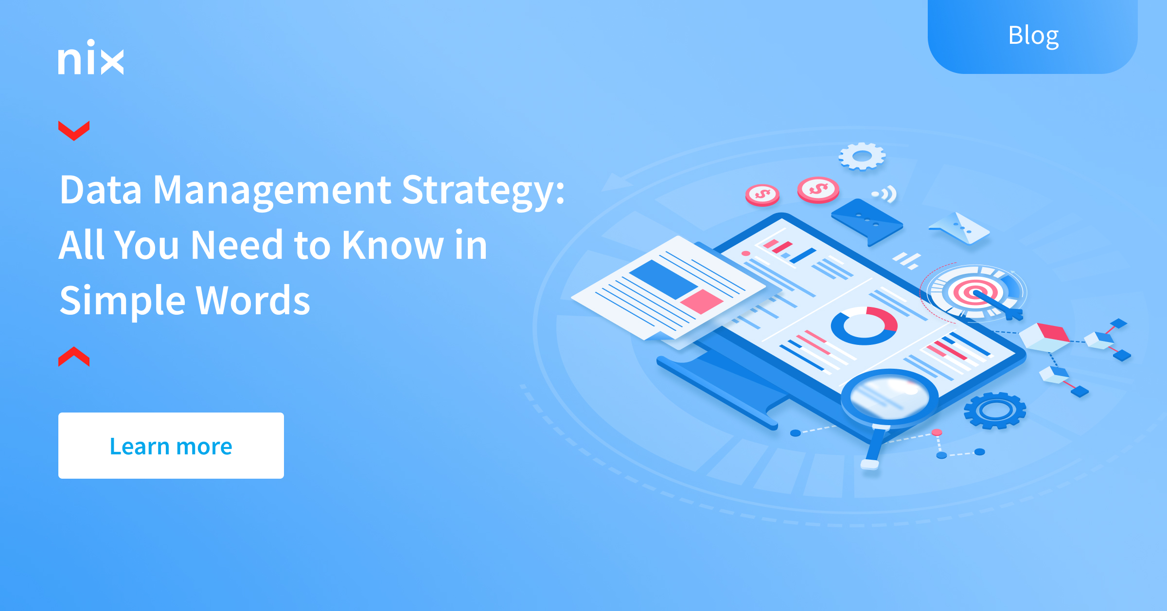 Data Management Strategy: Process and Business Benefit Example – NIX United
